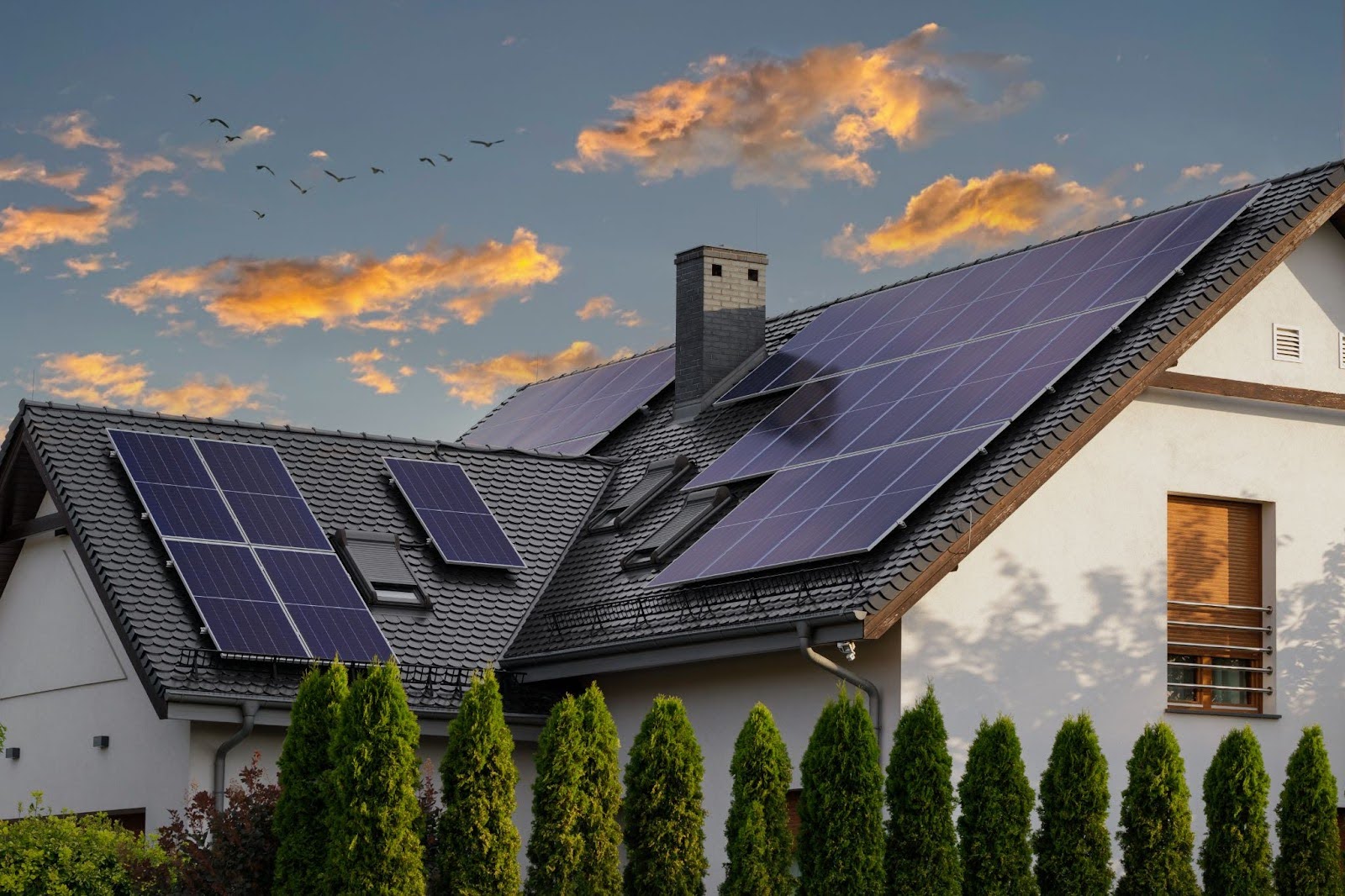 Cost of Solar Panel: A Complete Breakdown